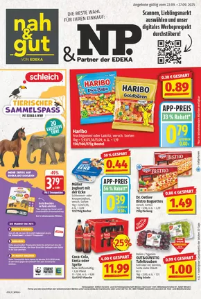 Marktkauf in Meppen | Prospekte und Angebote | Tiendeo