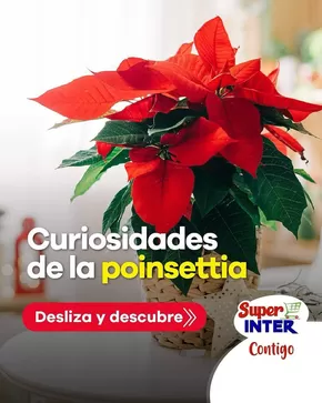 Super Inter en Cali | Direcciones y horarios | Tiendeo