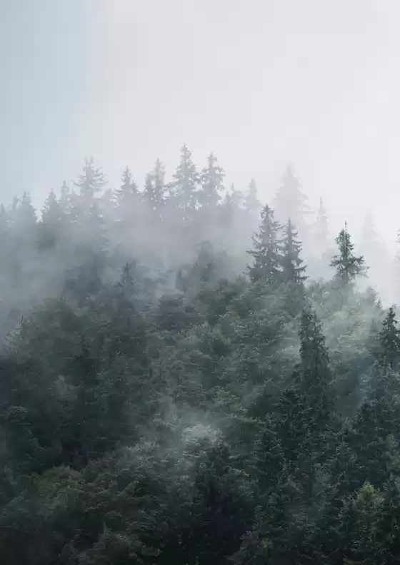 XL-Bygg Ski, Kjeppestadveien, 44 | Åpningstider og tilbud | Tiendeo